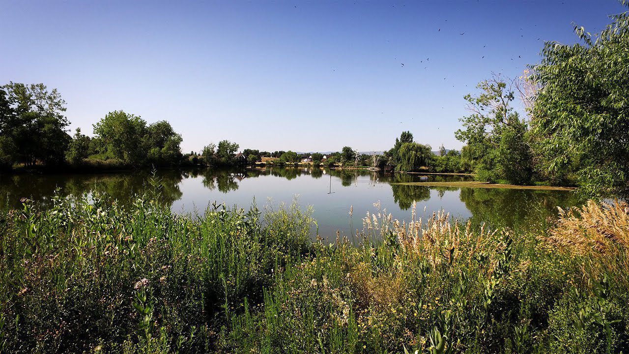 Recap: Dig Studio Landscape Architecture Series: Belmar Park - Denver ...
