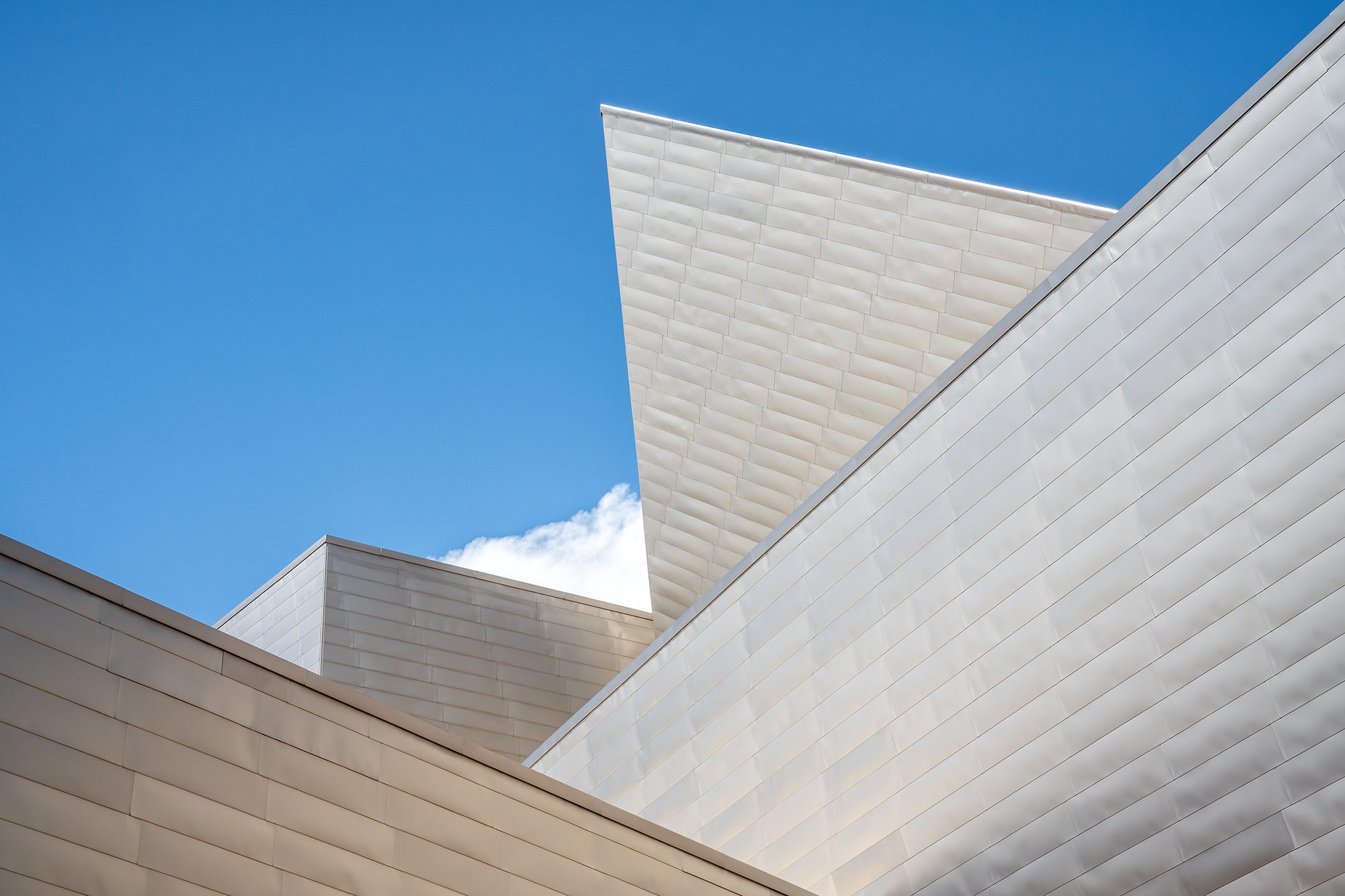 Y/OUR Denver 2024 Exhibition - Denver Architecture Foundation